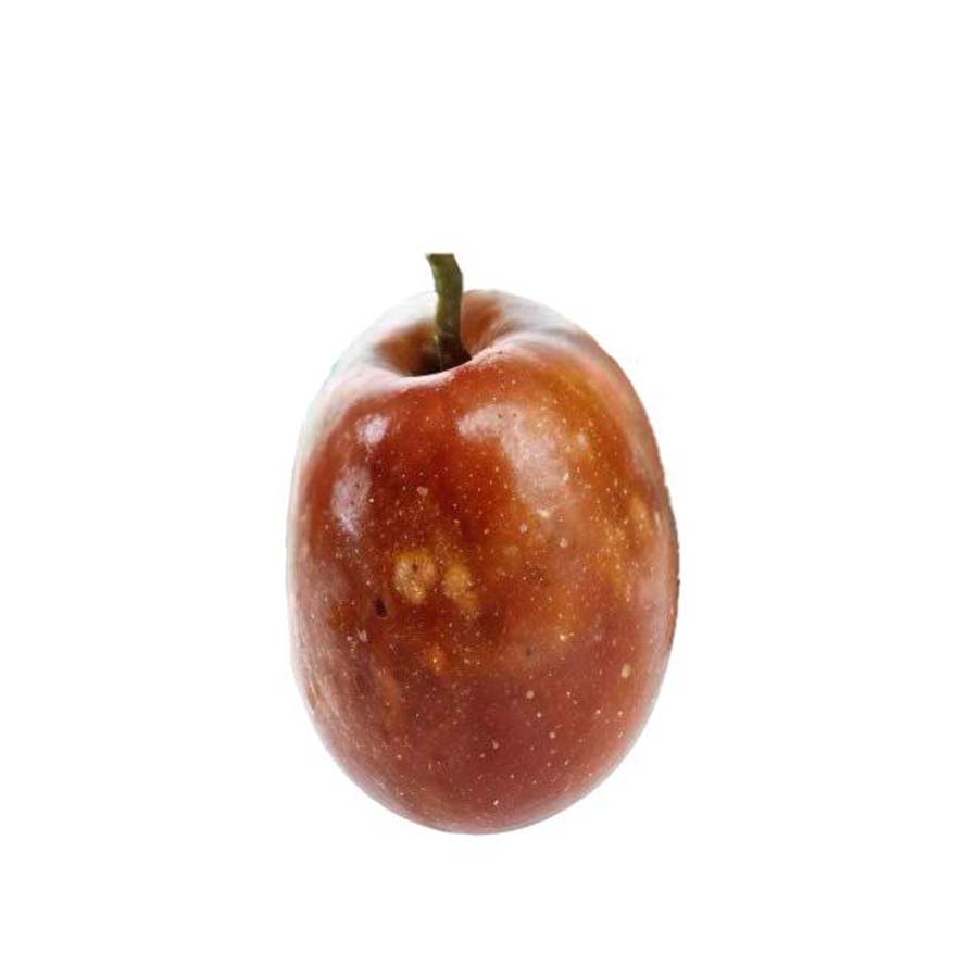 Azufaifo - Viveros Brokaw